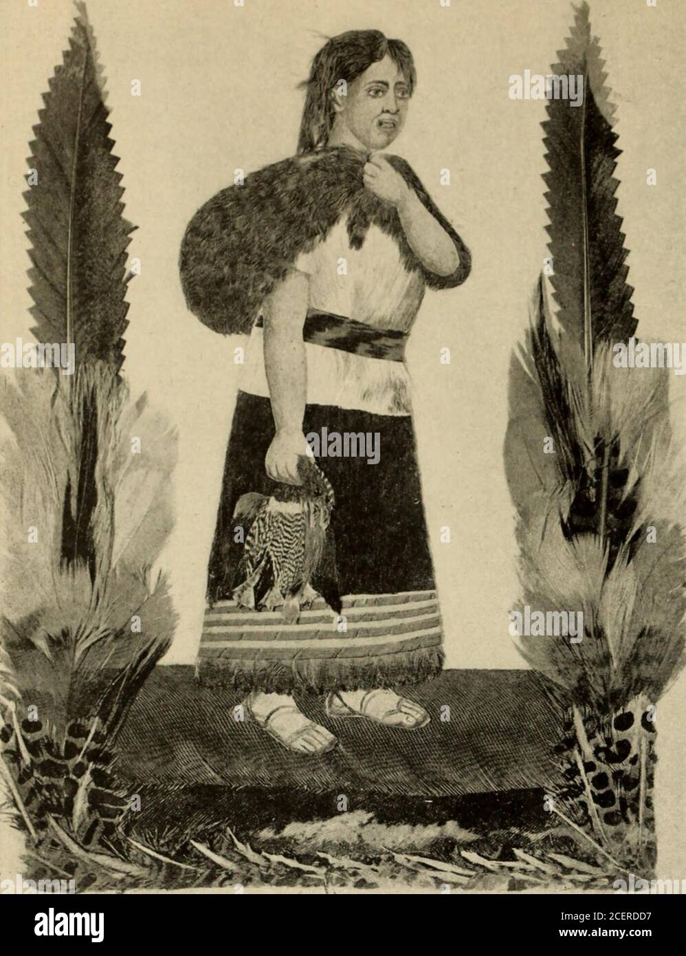 Featherwork hi-res stock photography and images - Alamy