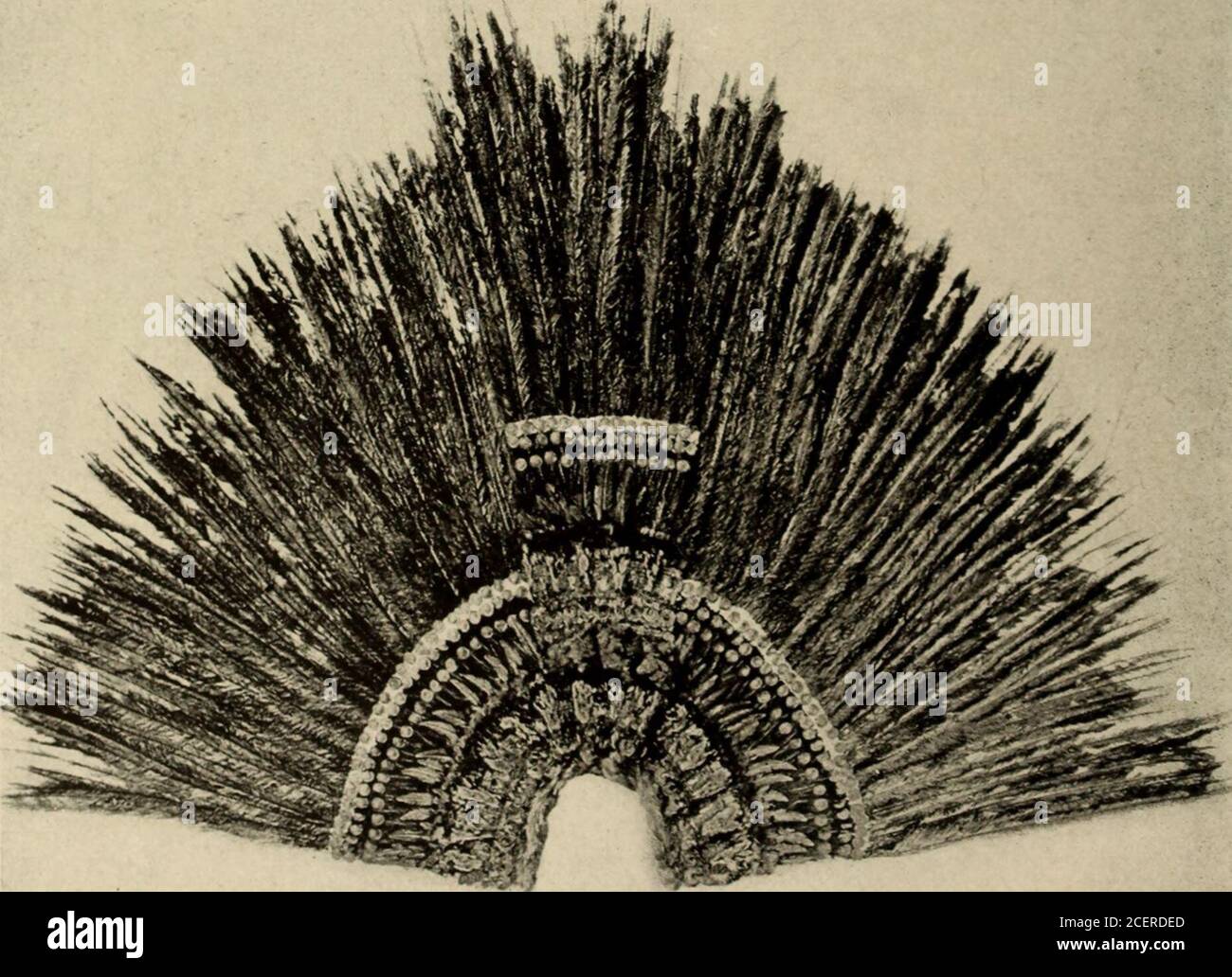 Featherwork hi-res stock photography and images - Alamy