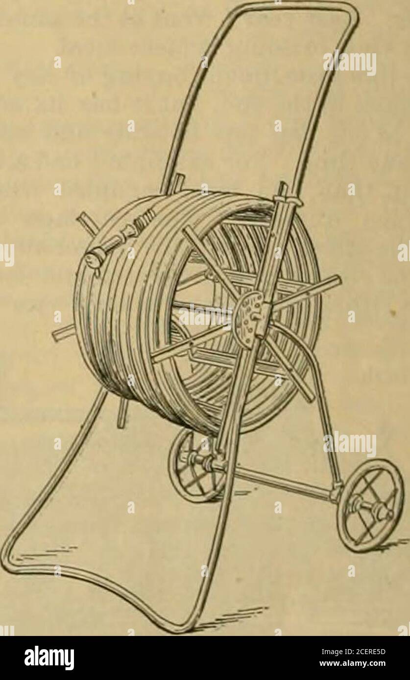 Quince leaf blight hi-res stock photography and images - Alamy