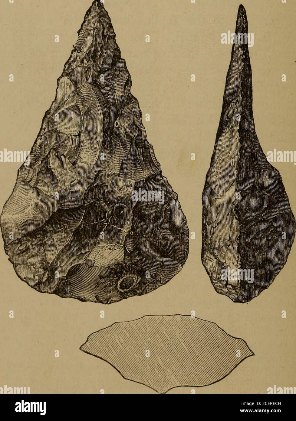 Ogee curve hi-res stock photography and images - Alamy