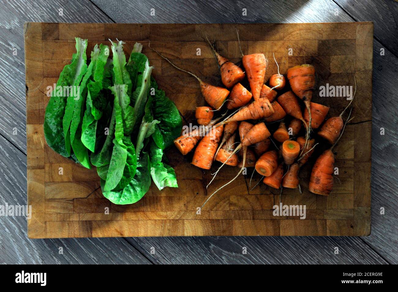 Fresh carrots mud hi-res stock photography and images - Alamy
