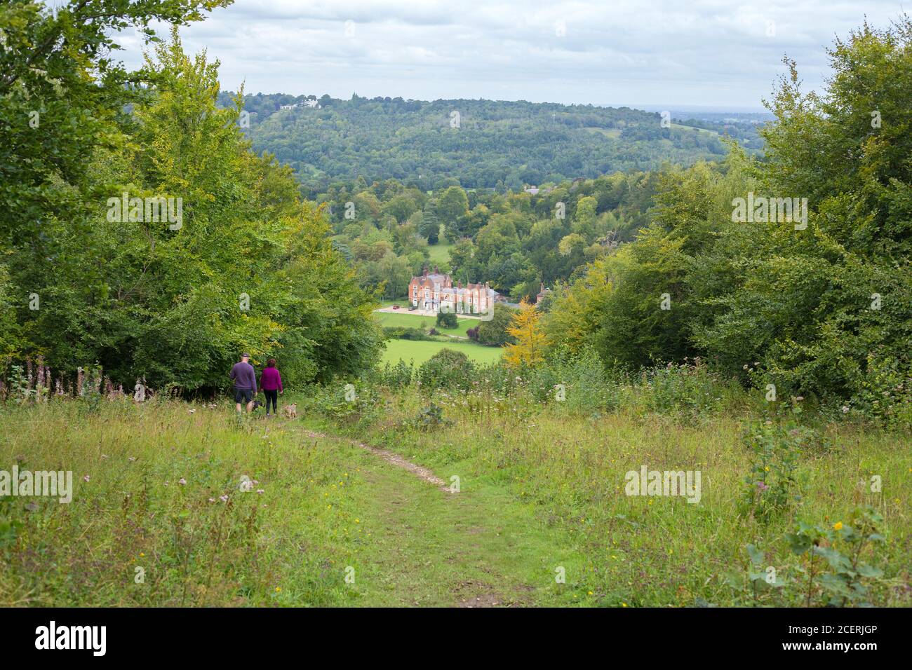 Boxhill surrey hi-res stock photography and images - Alamy