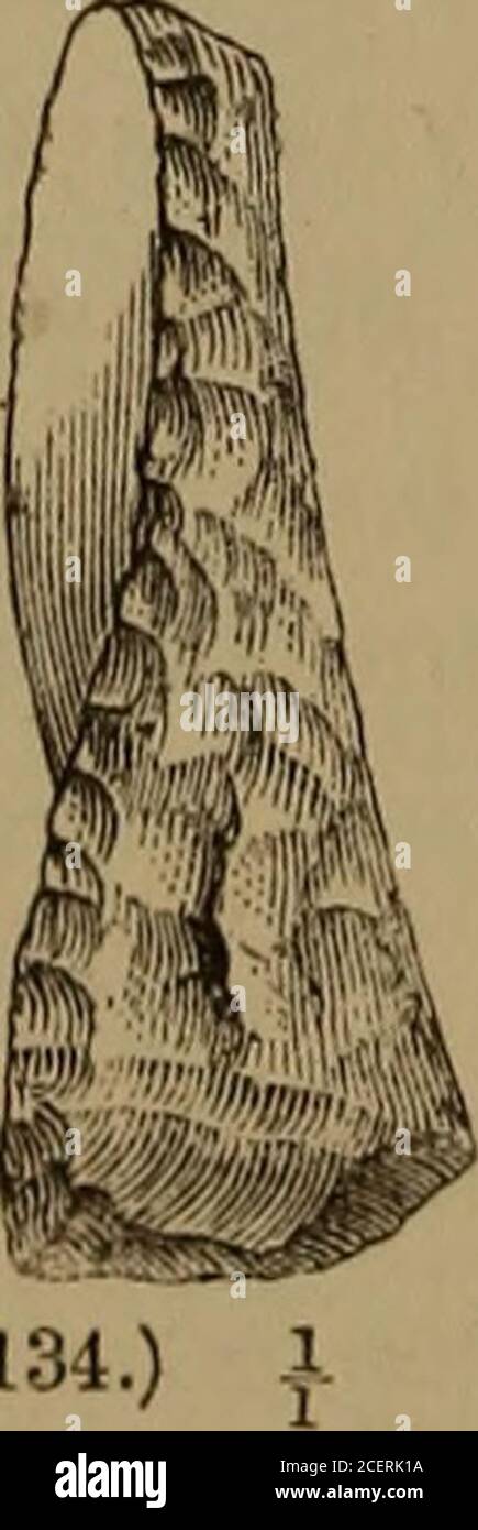 Brixham cave hi-res stock photography and images - Alamy