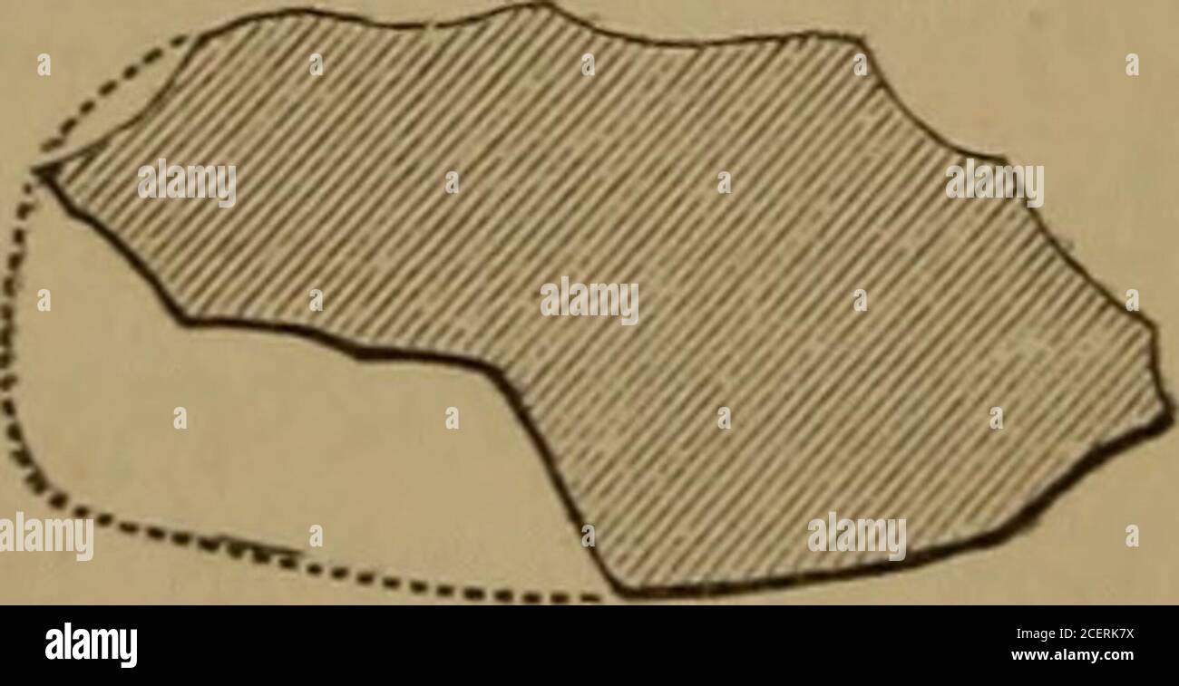 Pebbles brixham hi-res stock photography and images - Alamy