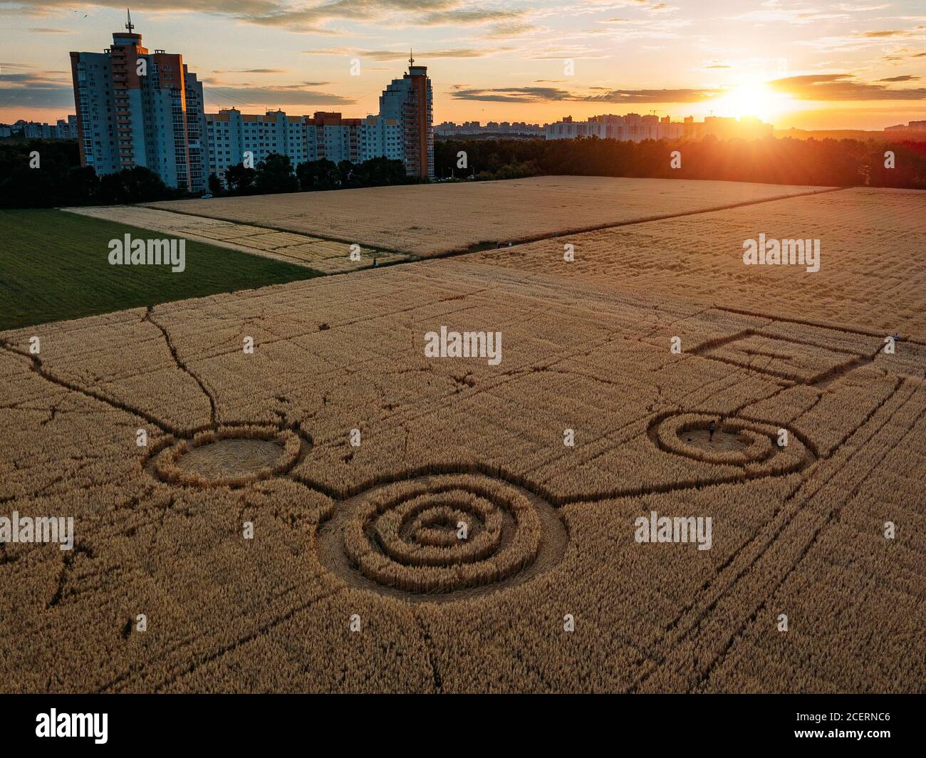 Mysterious crop circle in oat field near the city at the evening Stock ...