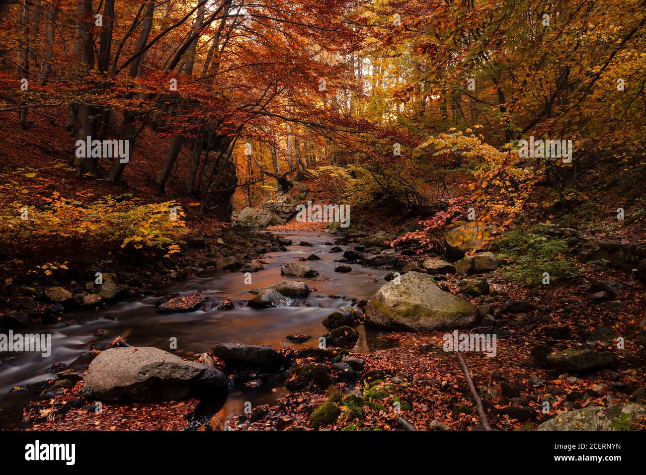 Stara reka hi-res stock photography and images - Alamy