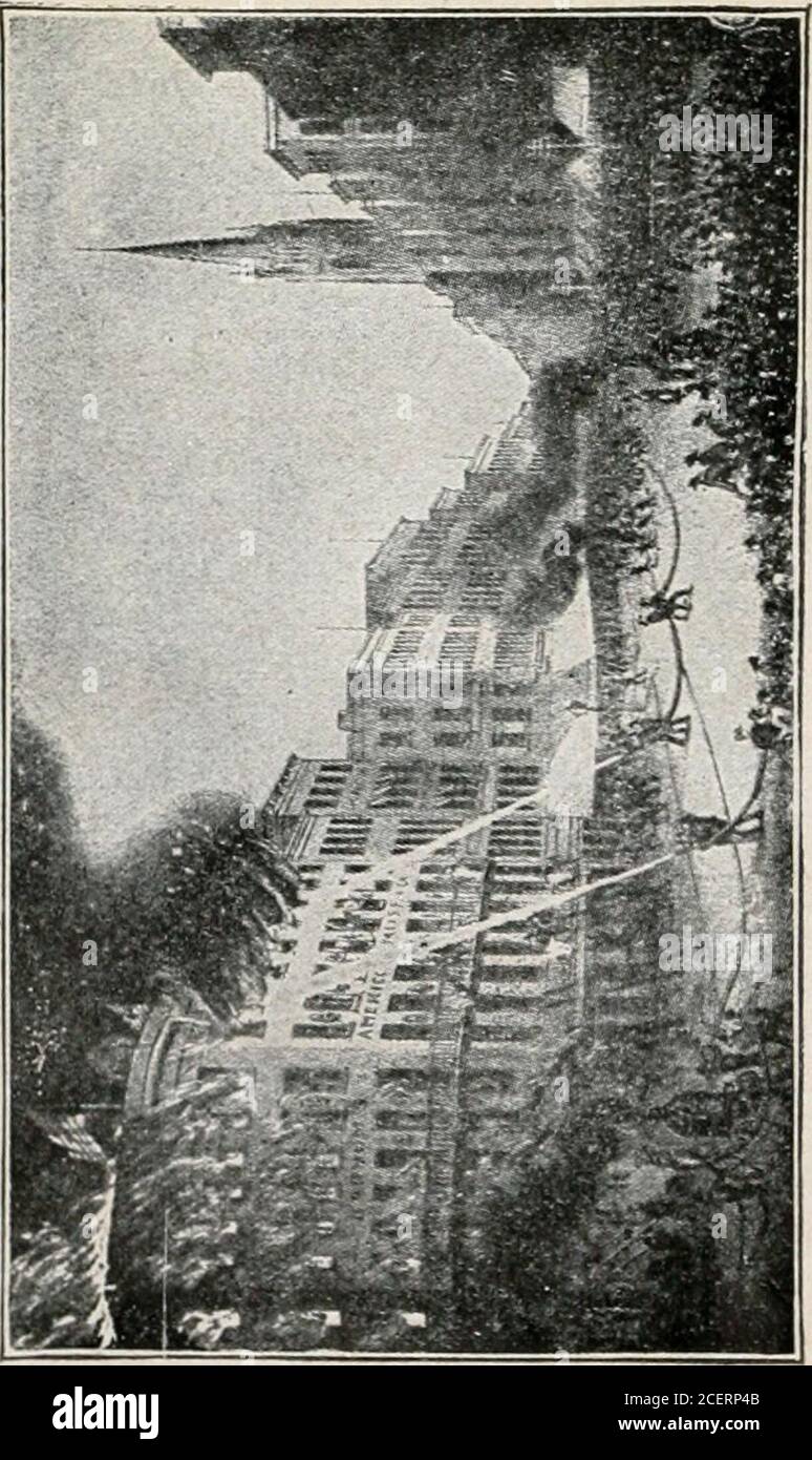 Bayard of india hi-res stock photography and images - Alamy