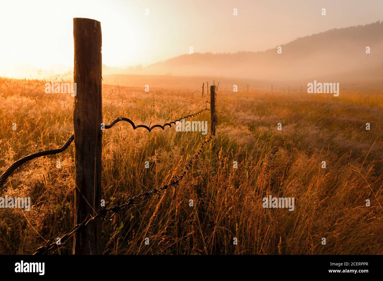Surroundings of Yagodina village in Rhodope Mountains Stock Photo - Alamy