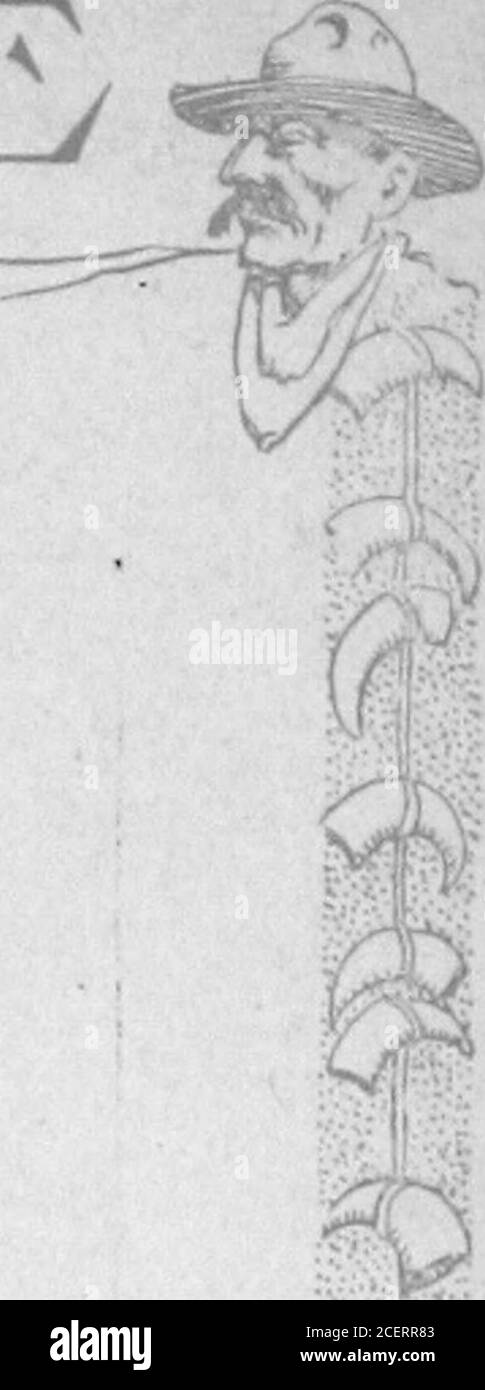 Gentle sheen hi-res stock photography and images - Alamy