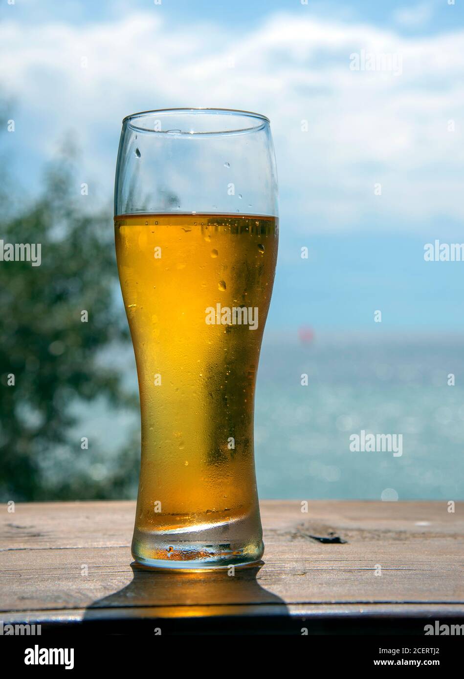 A steaming glass of beer stands on the bar Stock Photo - Alamy