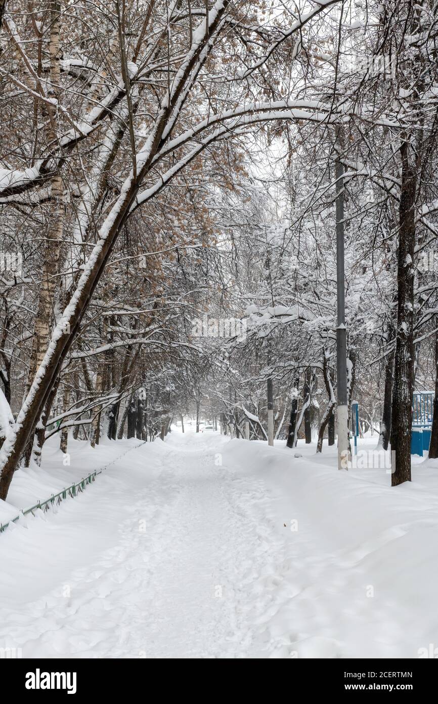 Snowfall alley hi-res stock photography and images - Alamy