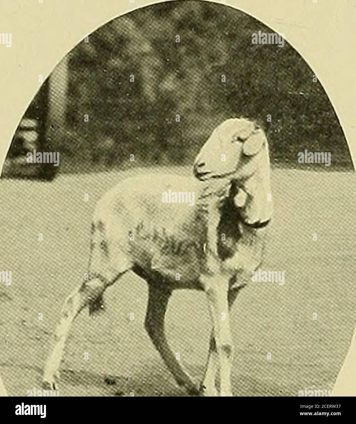 Earl george kings cross hi-res stock photography and images - Alamy