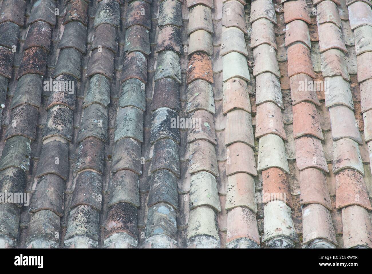 a roof of tiles half clean and dirty after an anti foam cleaning Stock ...
