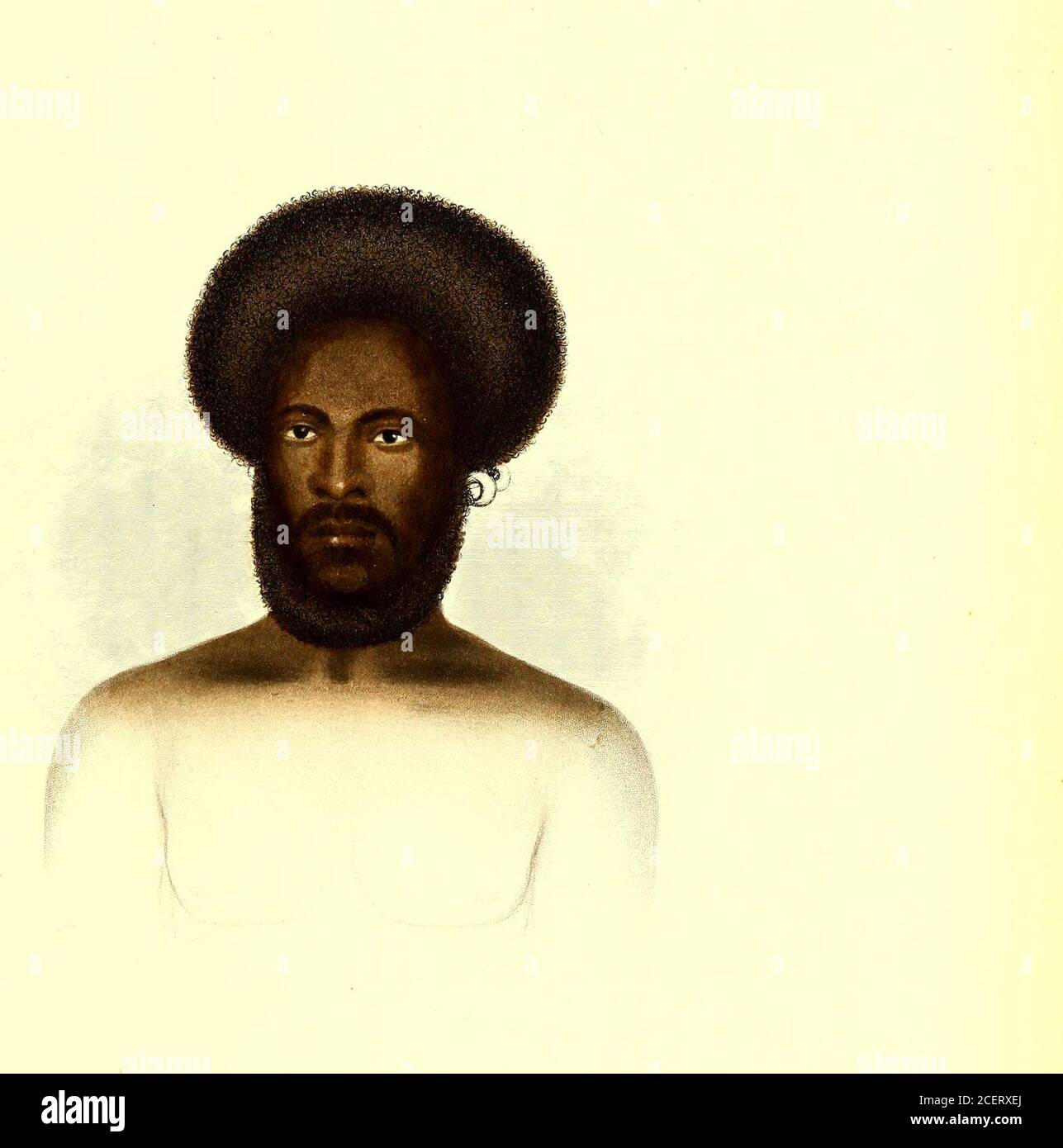 Foppery hi-res stock photography and images - Alamy