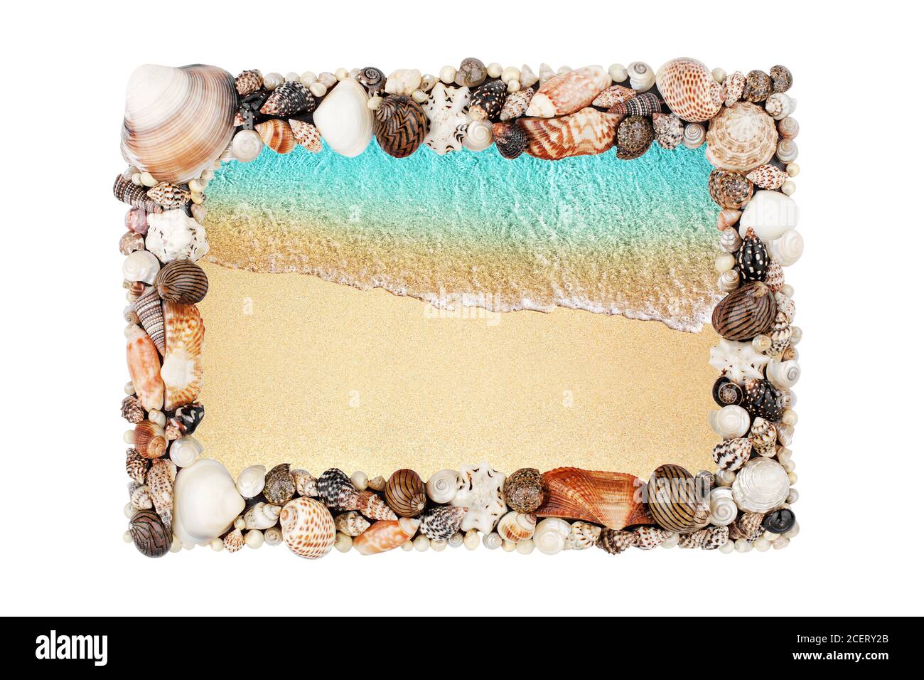 Sea shells frame white background isolated closeup seashells border ...