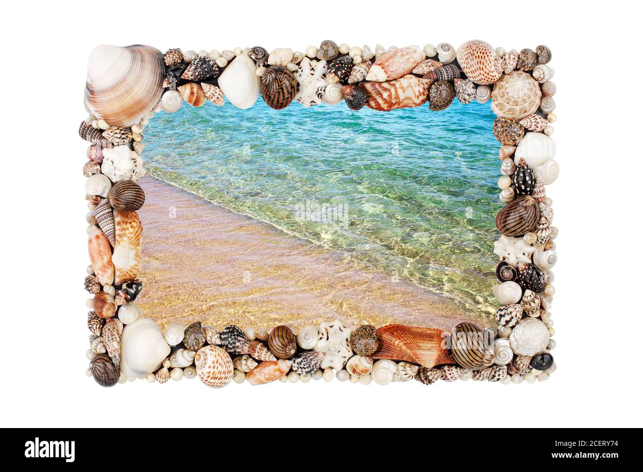 Blue Seashell Border