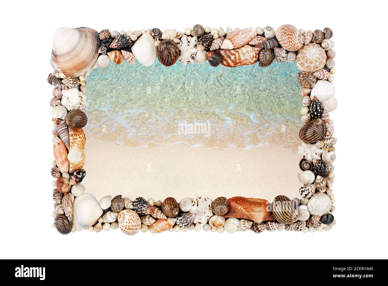 Blue Seashell Border Shell Border Images – Browse 59,528 Stock