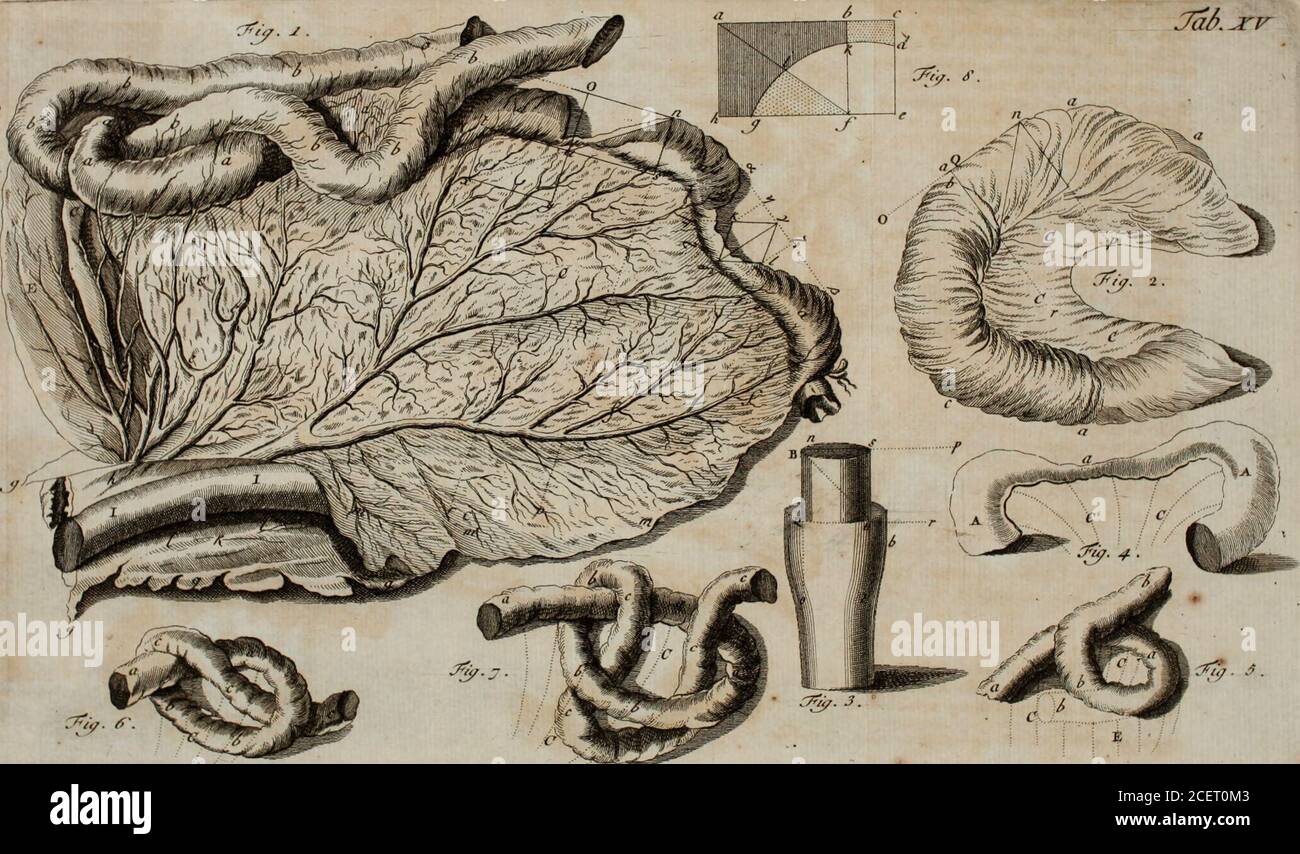 Dubus hi-res stock photography and images - Alamy