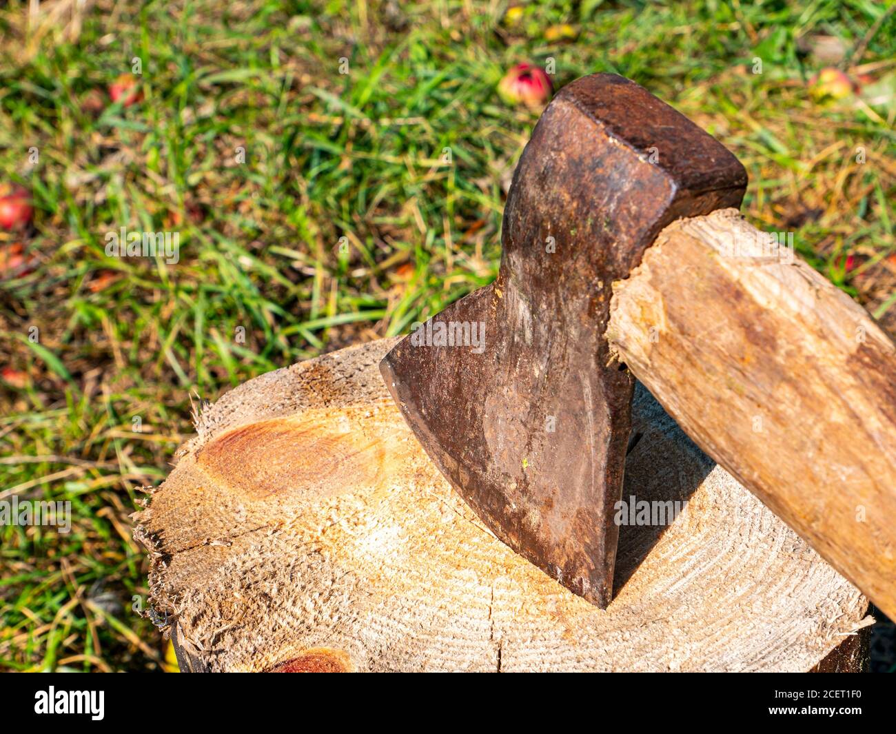 Chopping wood with an iron ax with a wooden handle Stock Photo - Alamy