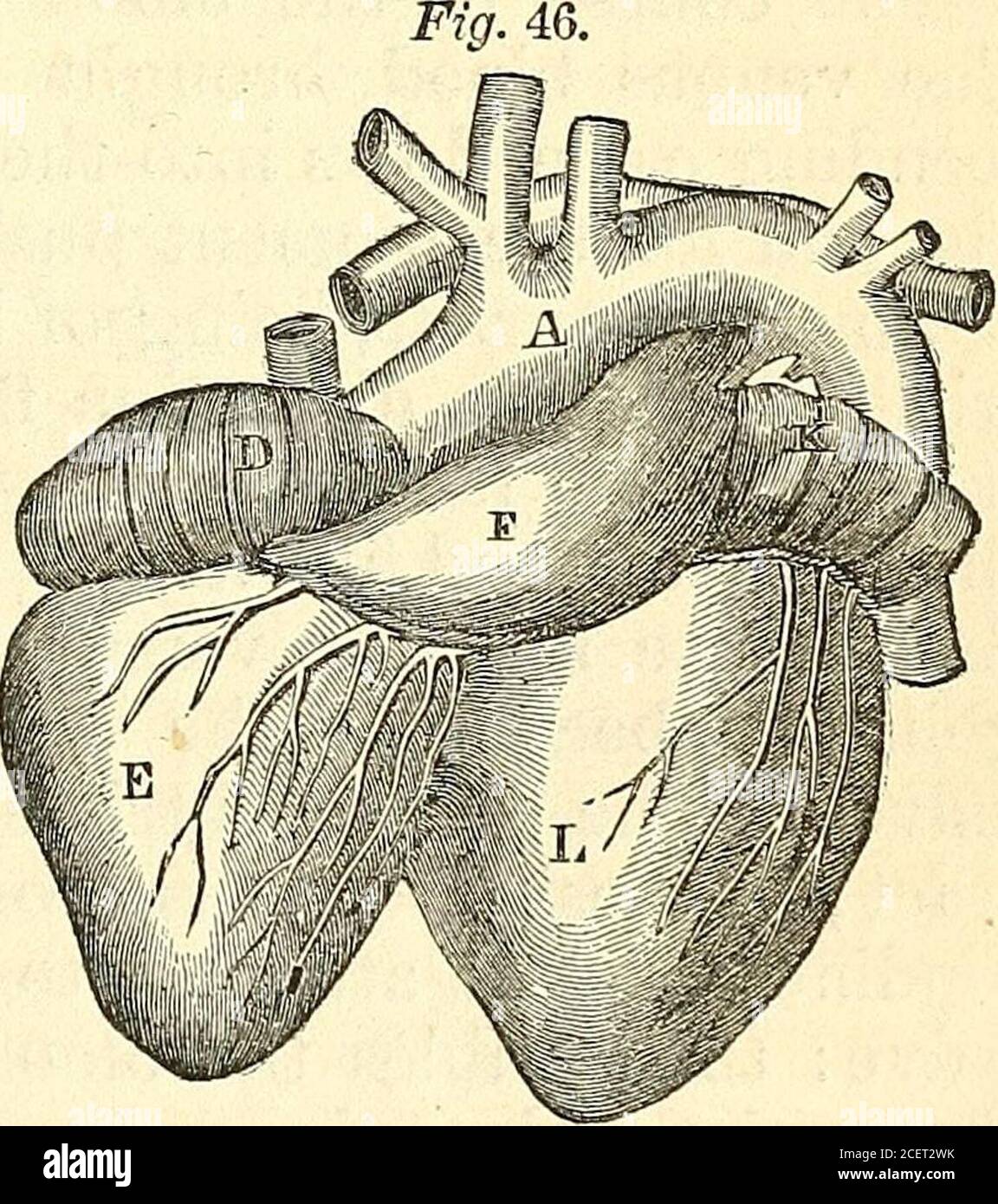 Afteraeration hi-res stock photography and images - Alamy