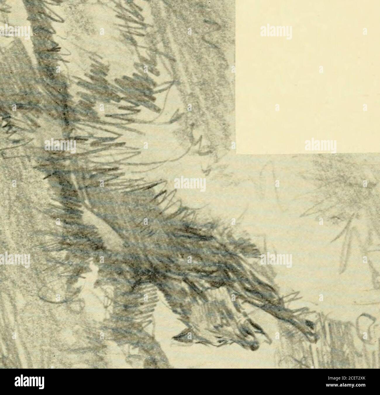 Jedforest hi-res stock photography and images - Alamy