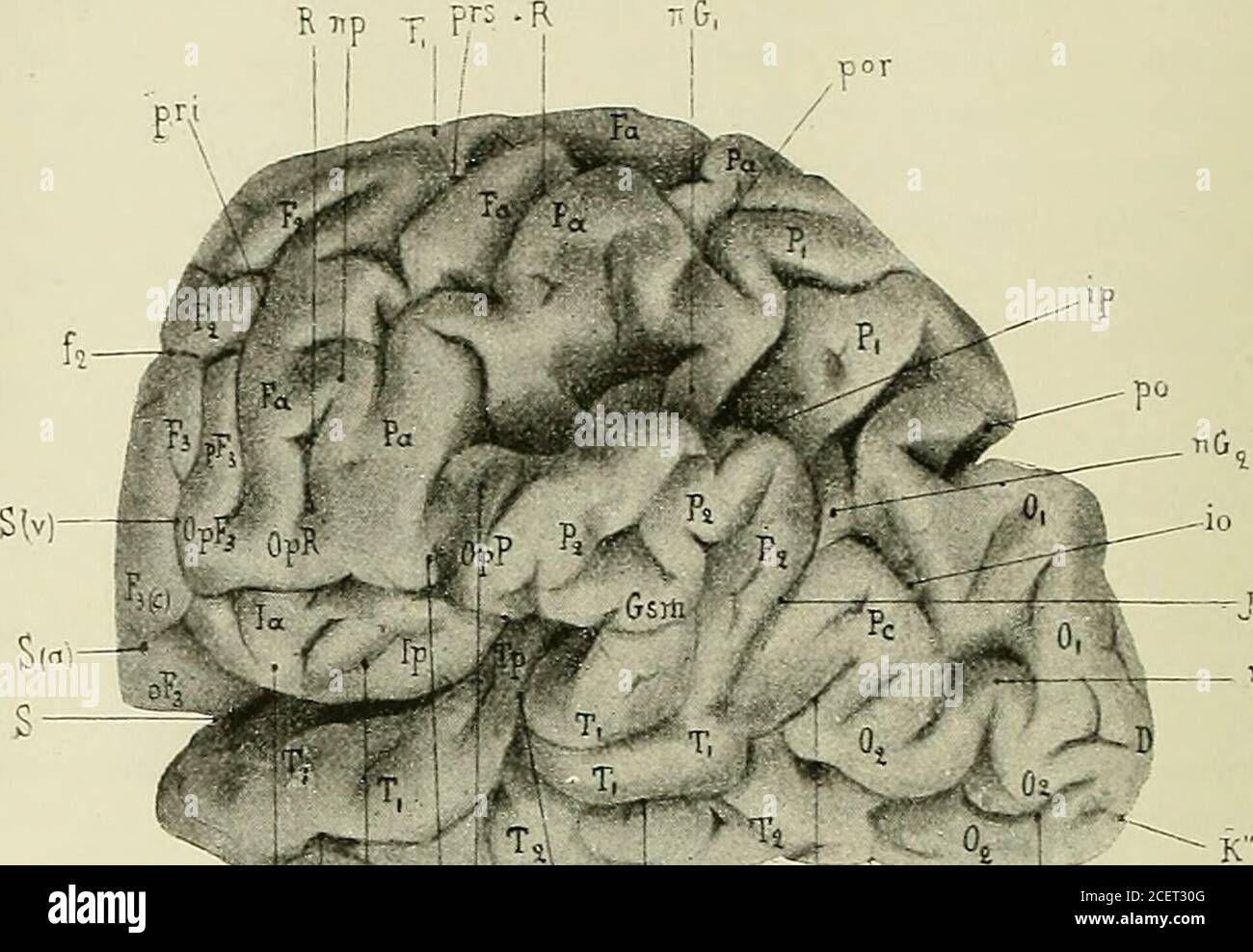Scissures hi-res stock photography and images - Alamy