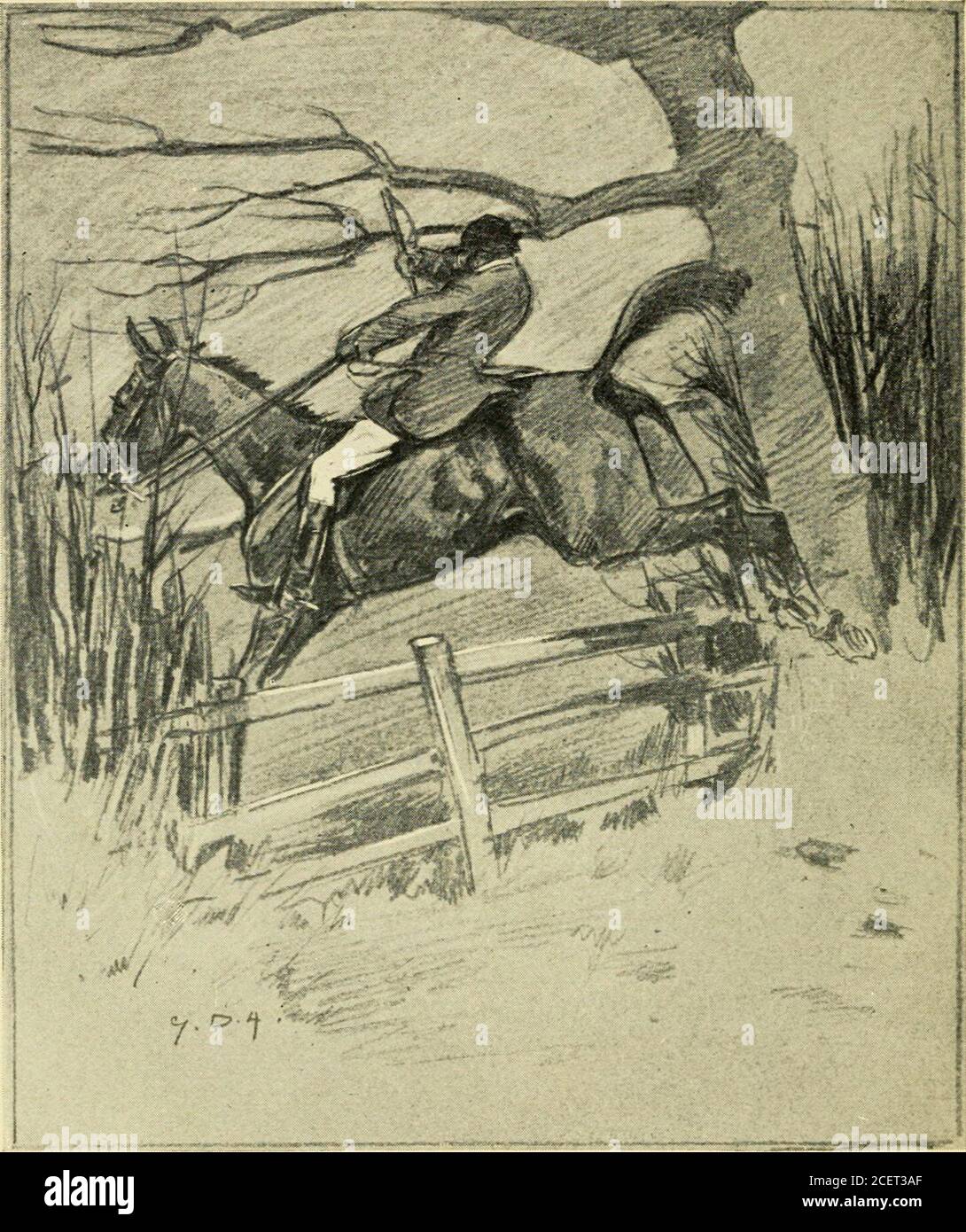 Jedforest hi-res stock photography and images - Alamy