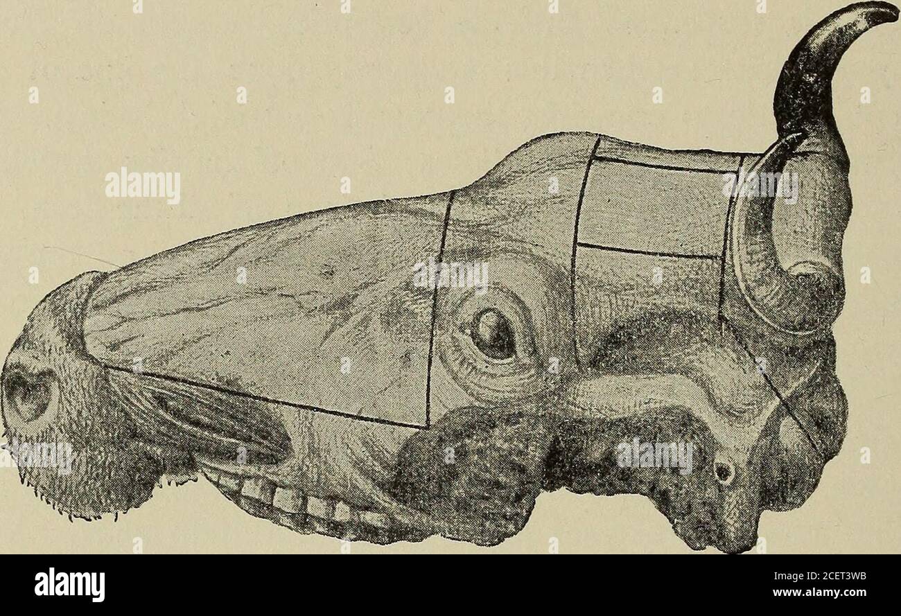 . Postmortem pathology; a manual of the technic of post-mortem ...