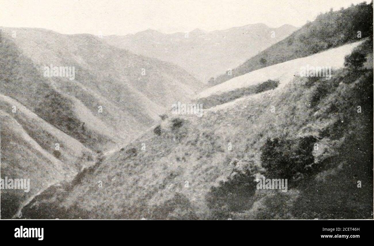 Ye cheng hi-res stock photography and images - Alamy