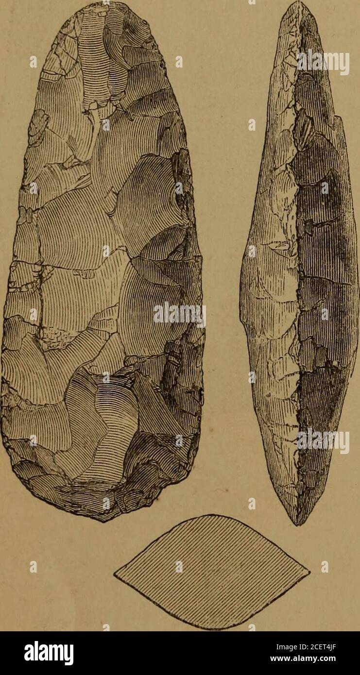 Fen form hi-res stock photography and images - Alamy