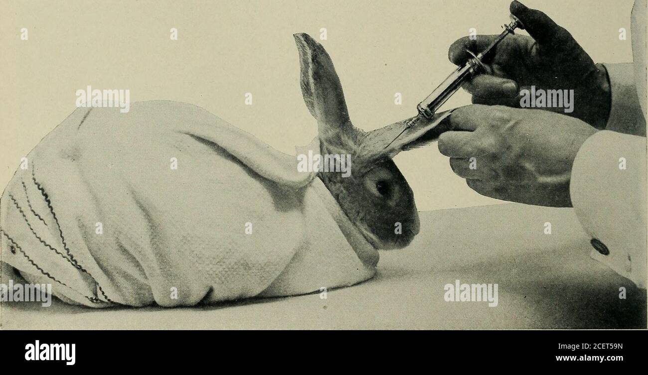 . Postmortem pathology; a manual of the technic of post-mortem ...