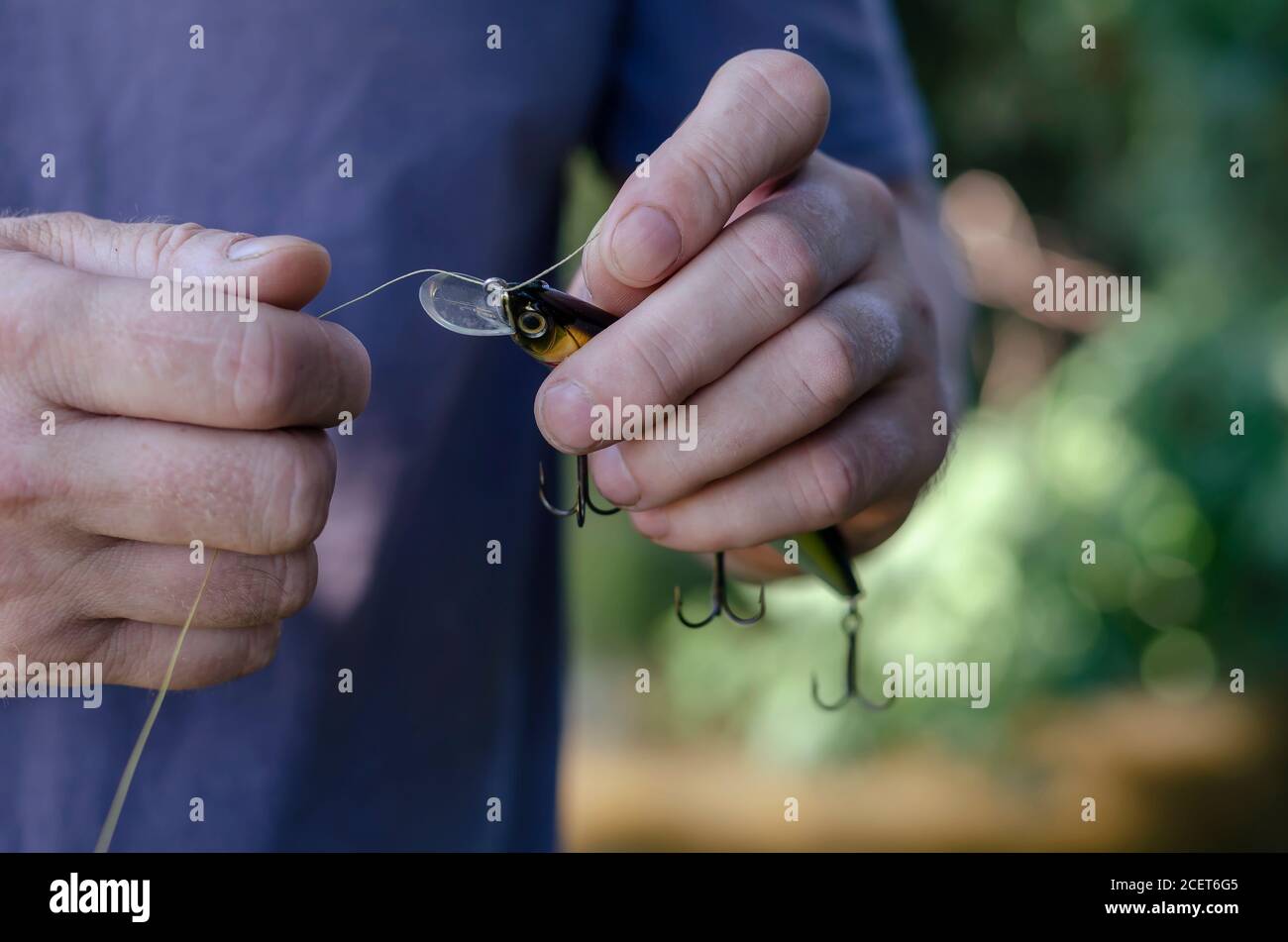 Minnow fish hand hi-res stock photography and images - Alamy