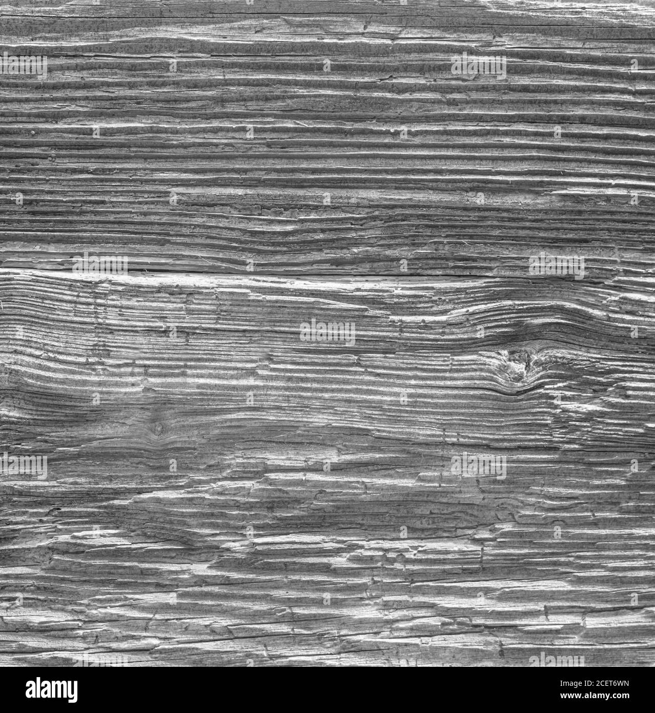Texture of a wooden surface in black-and-white Stock Photo - Alamy