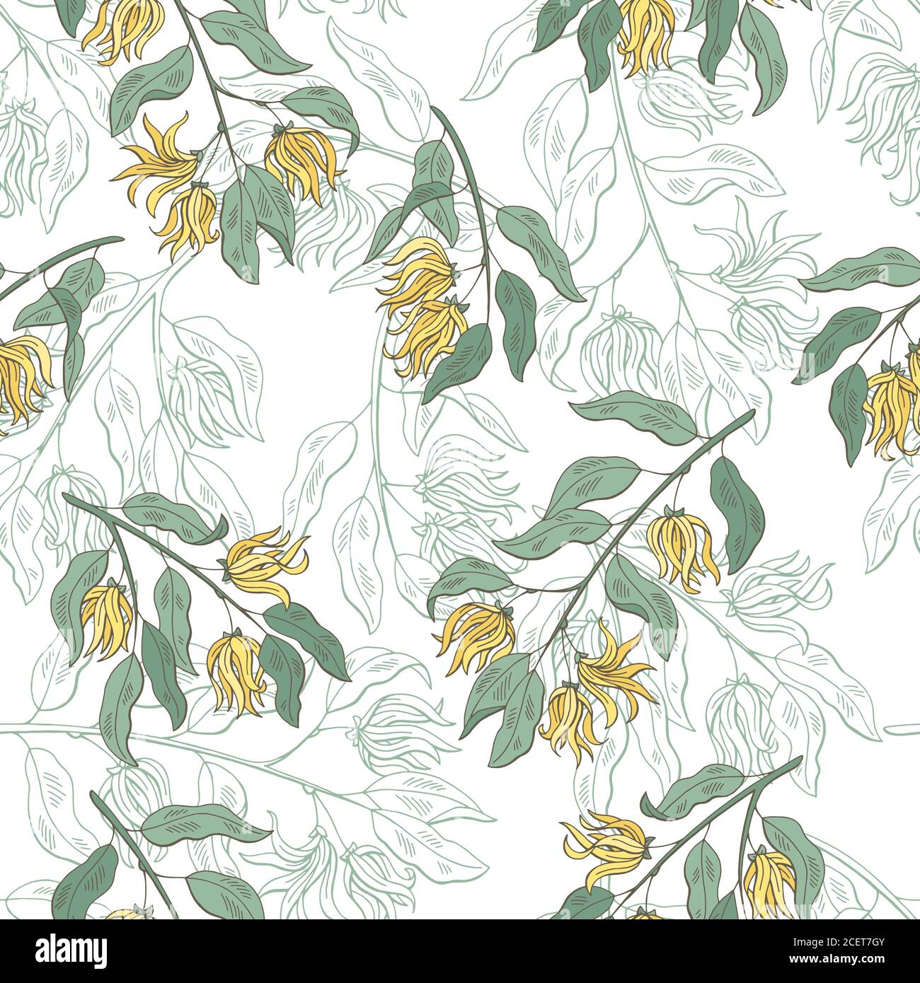 Cananga ylang-ylang graphic color seamless pattern sketch illustration ...