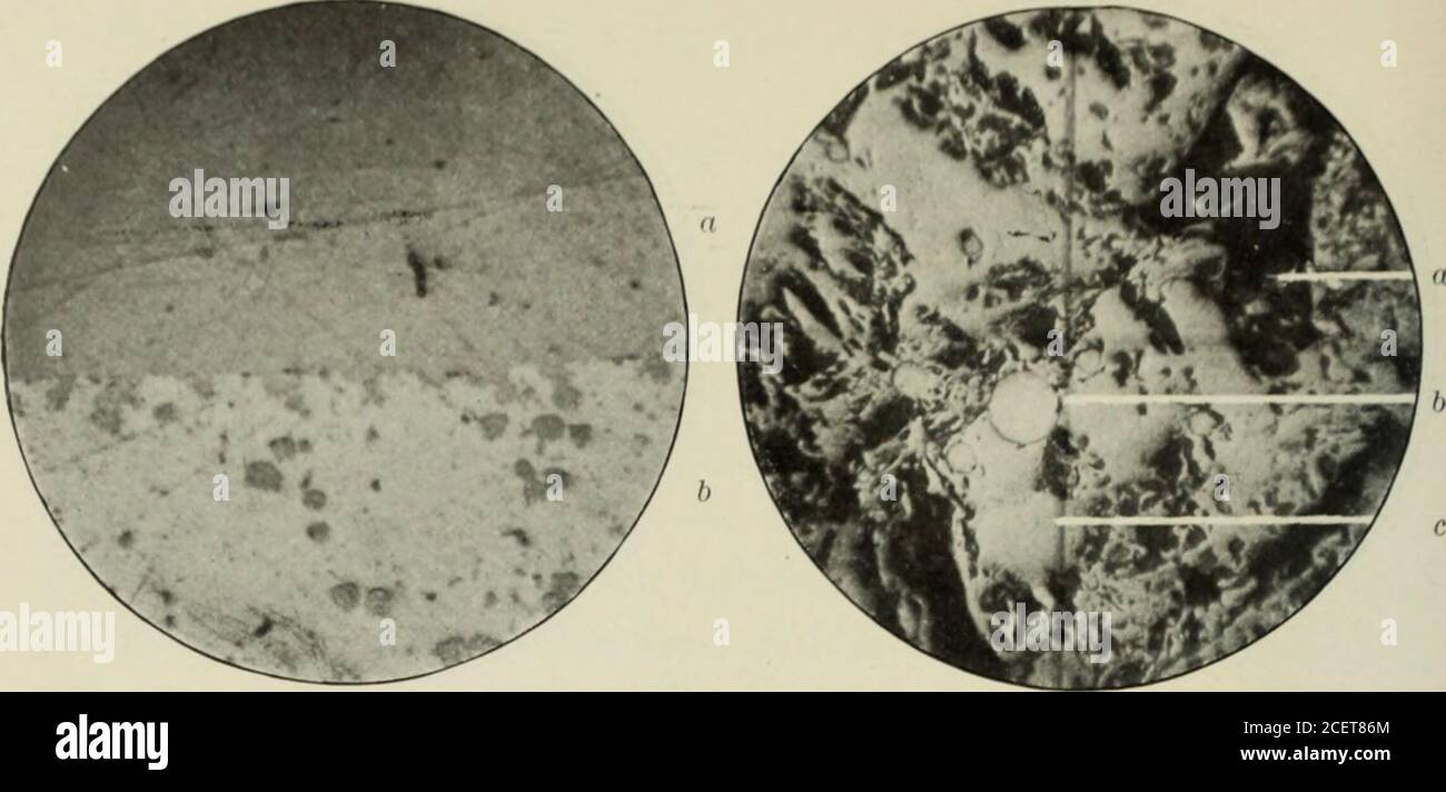 . Transactions. Copper Sulphide.Magnified 155 Diameters. iek Sulphide ...