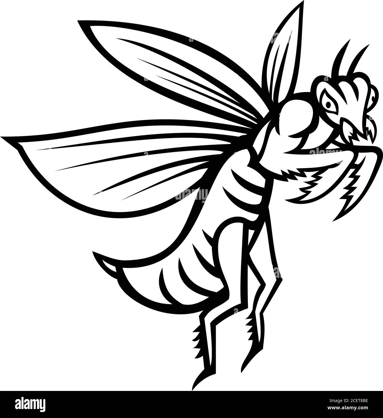 Mantis black background on Stock Vector Images - Alamy