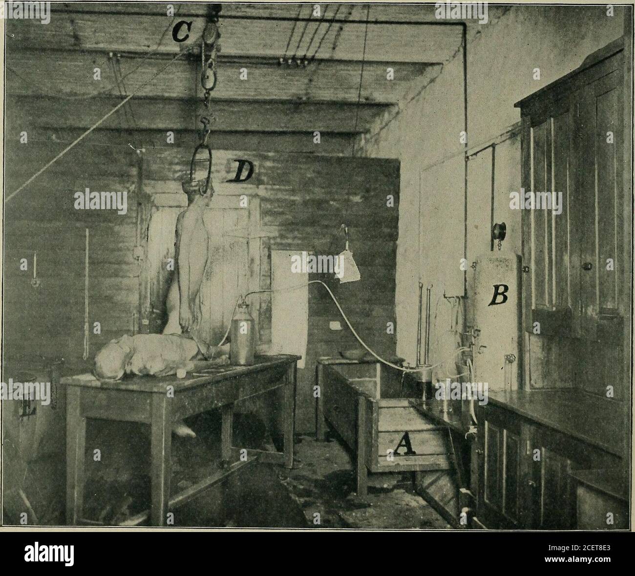 . Postmortem pathology; a manual of the technic of post-mortem ...