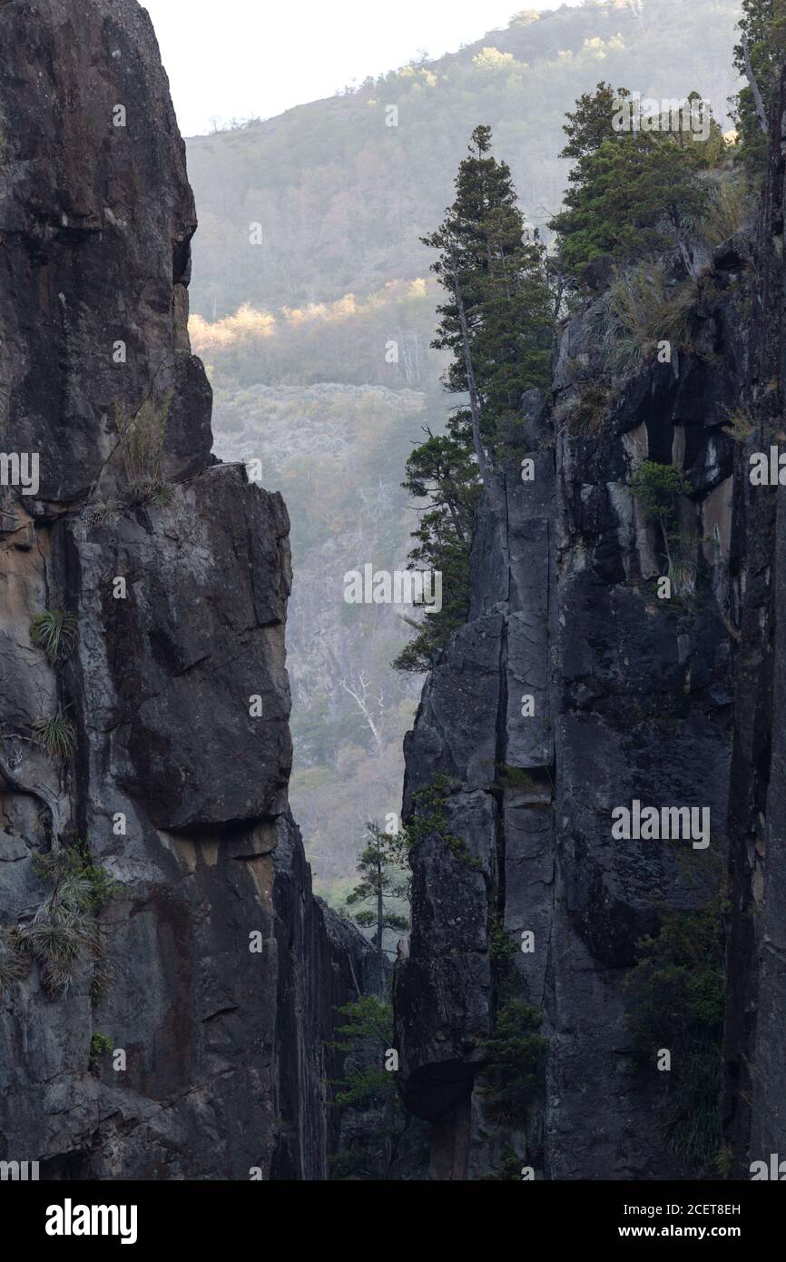 High rocky cliffs covered in greens Stock Photo - Alamy