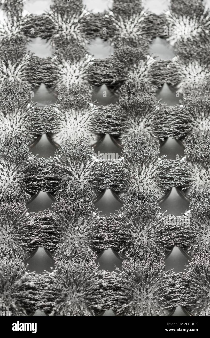 Invisible magnetic flux made visible with iron filings creating ...