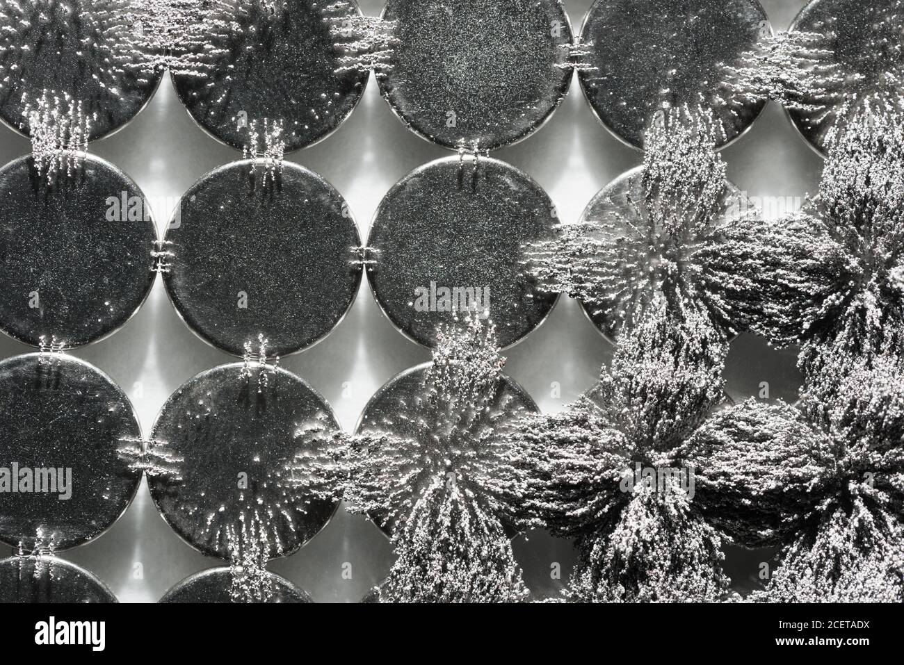 Invisible magnetic flux made visible with iron filings creating ...