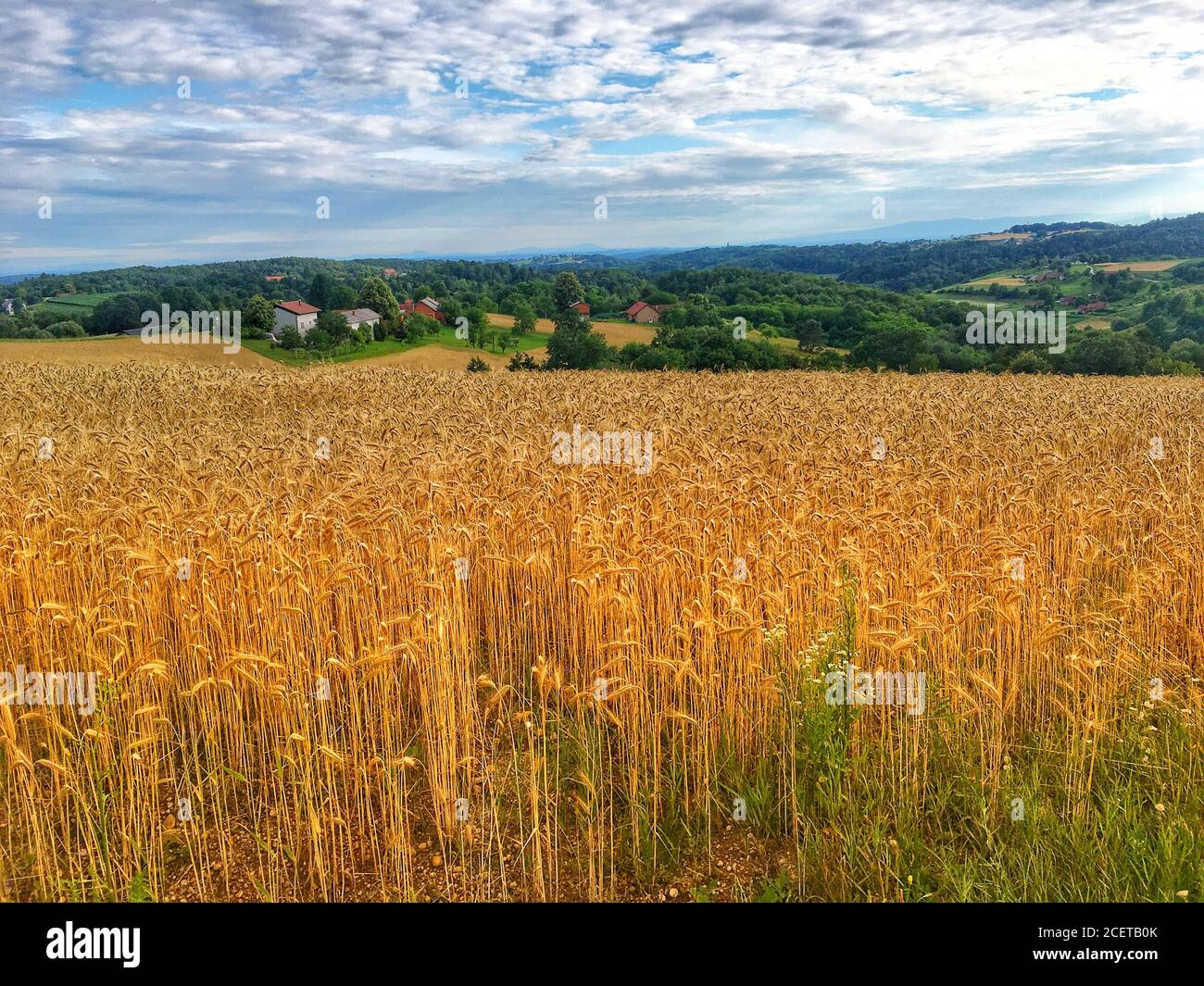 Prekmurje hi-res stock photography and images - Alamy