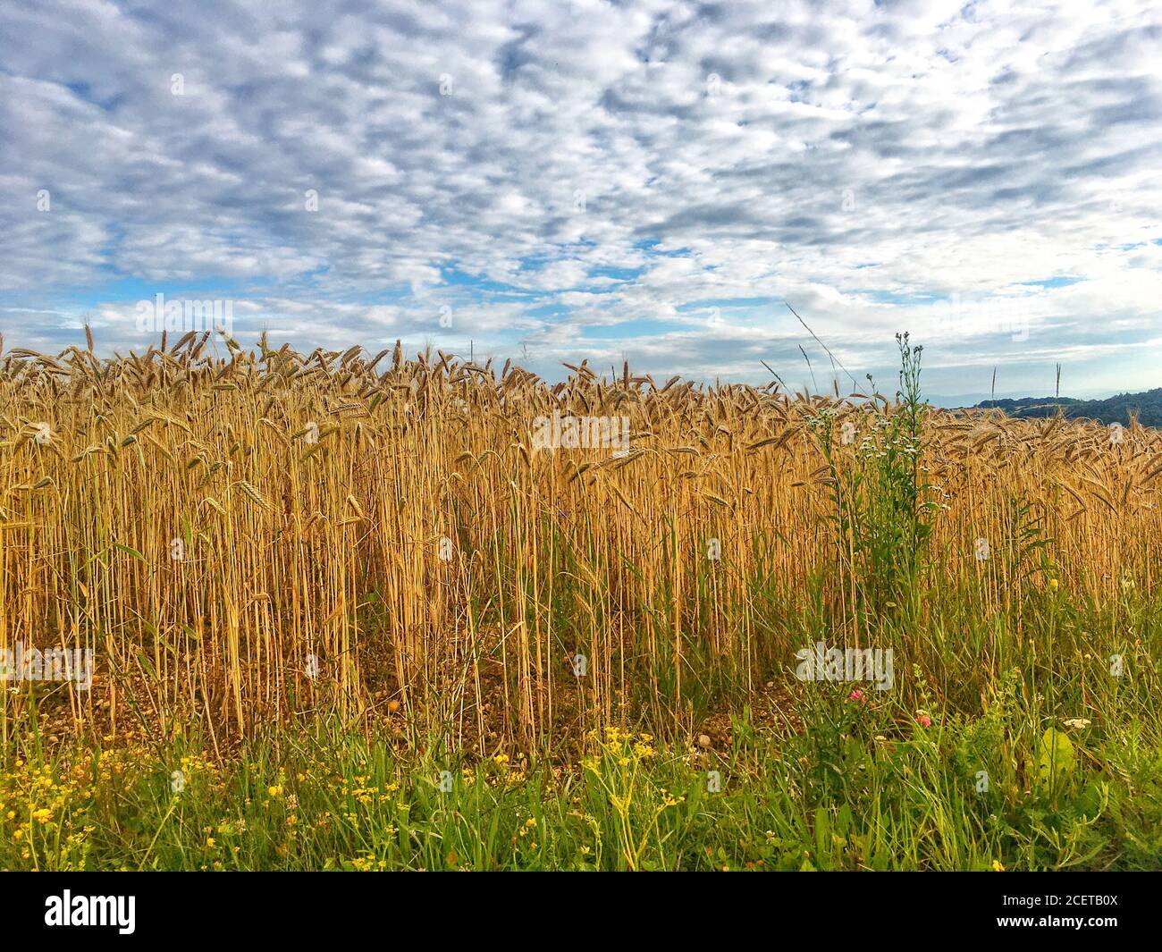 Prekmurje hi-res stock photography and images - Alamy