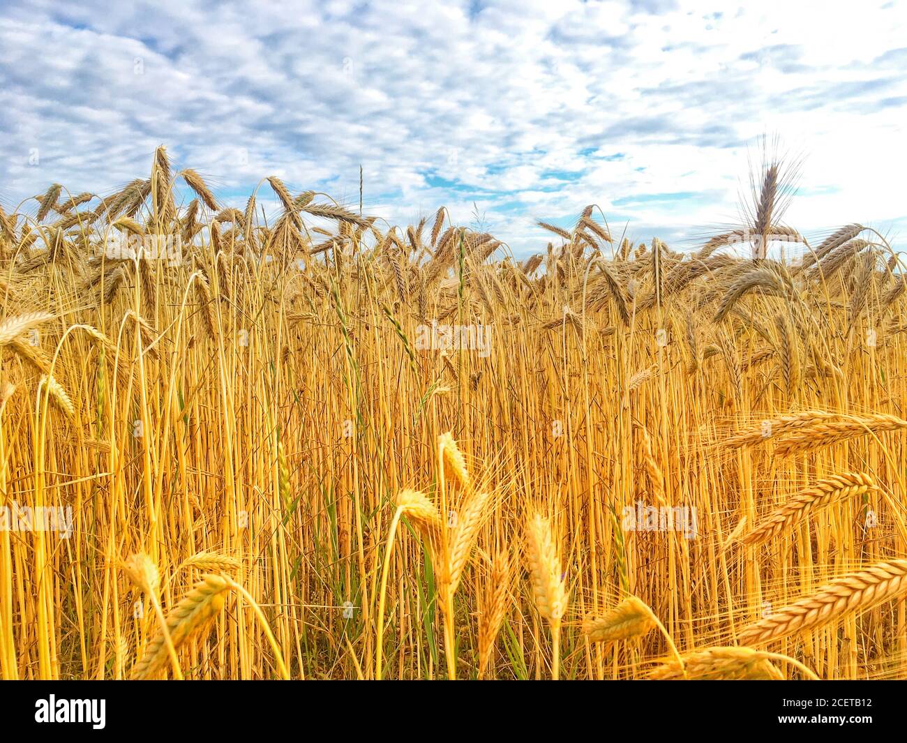 Prekmurje hi-res stock photography and images - Alamy