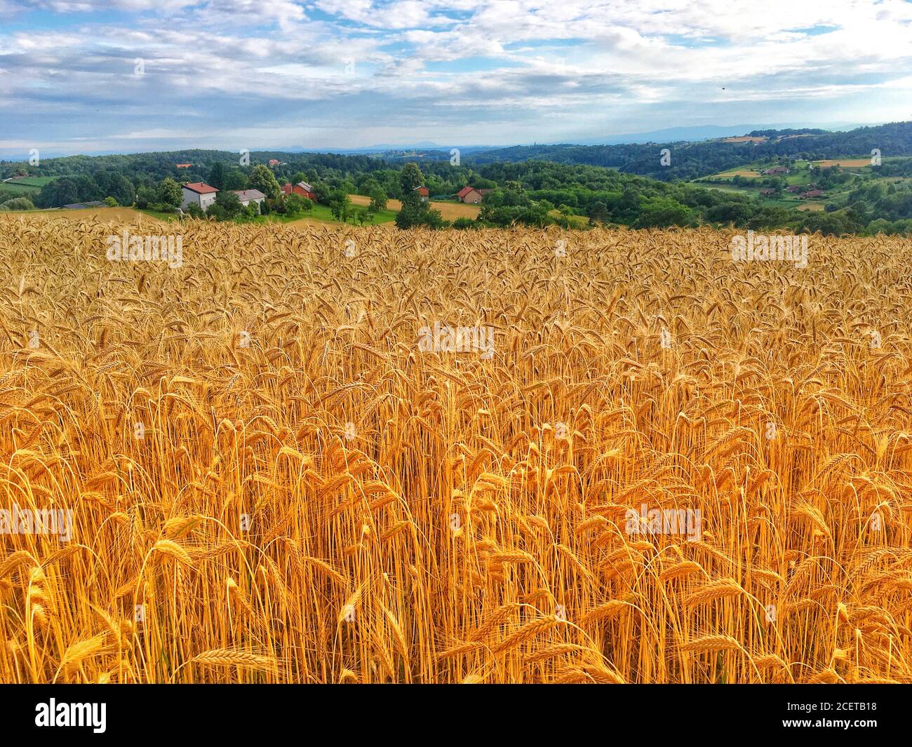Prekmurje hi-res stock photography and images - Alamy