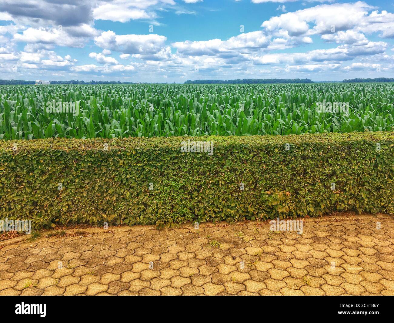 Prekmurje High Resolution Stock Photography and Images - Alamy