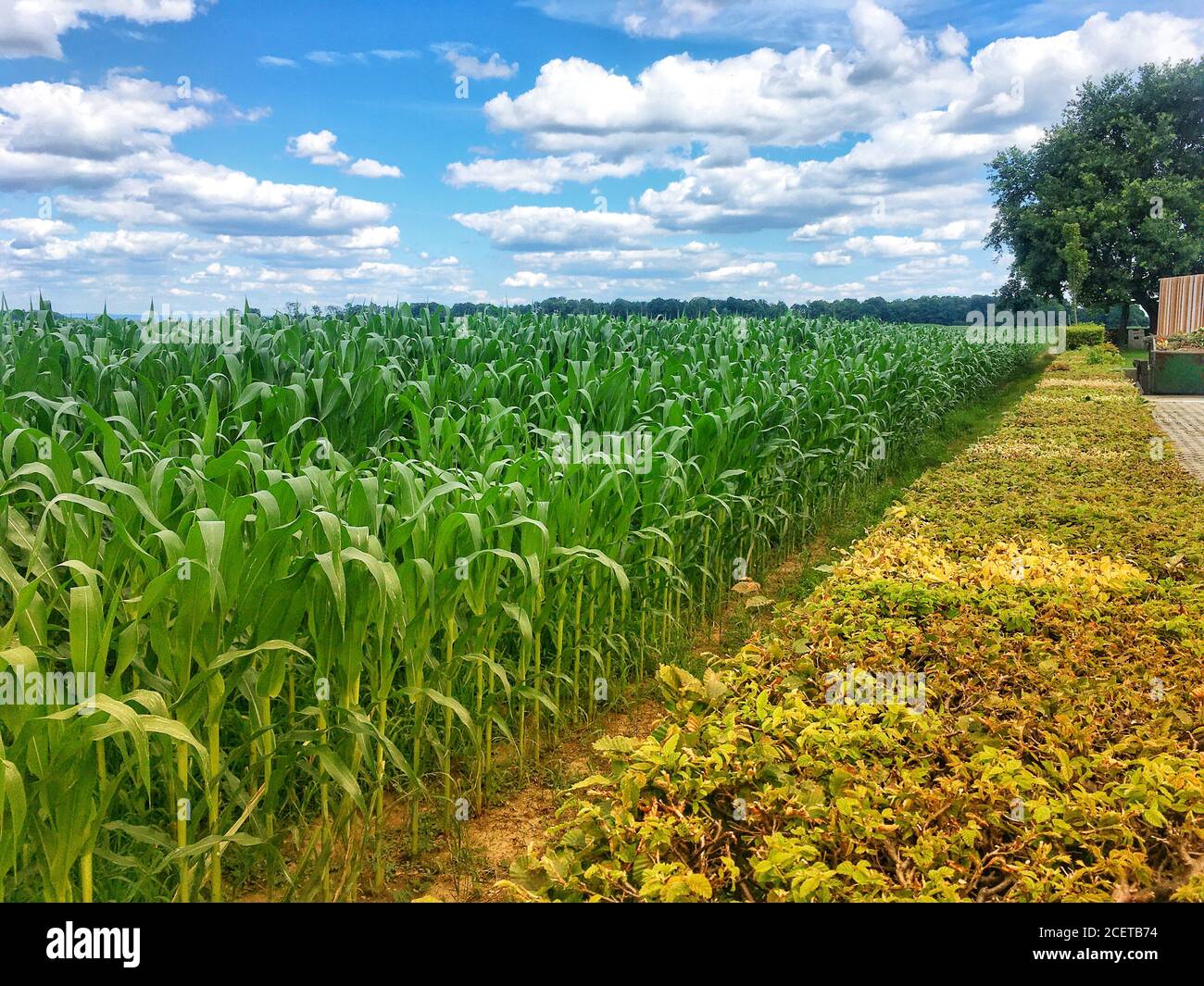 Prekmurje High Resolution Stock Photography and Images - Alamy