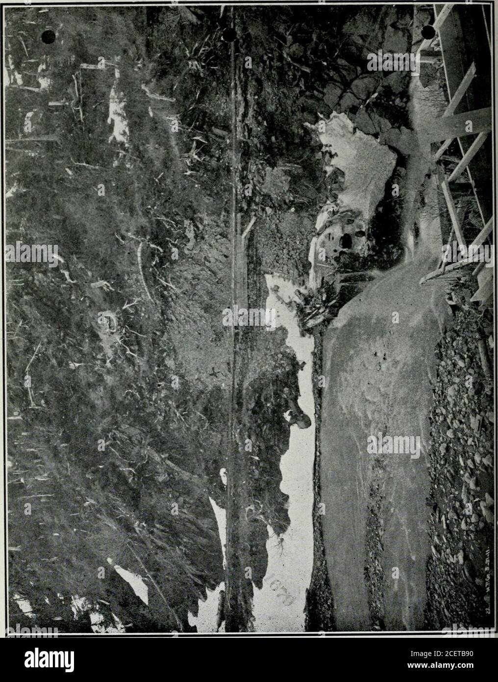 Ehner hi-res stock photography and images - Alamy