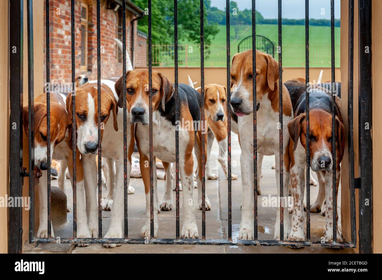 Kennels at the castle hi-res stock photography and images - Alamy