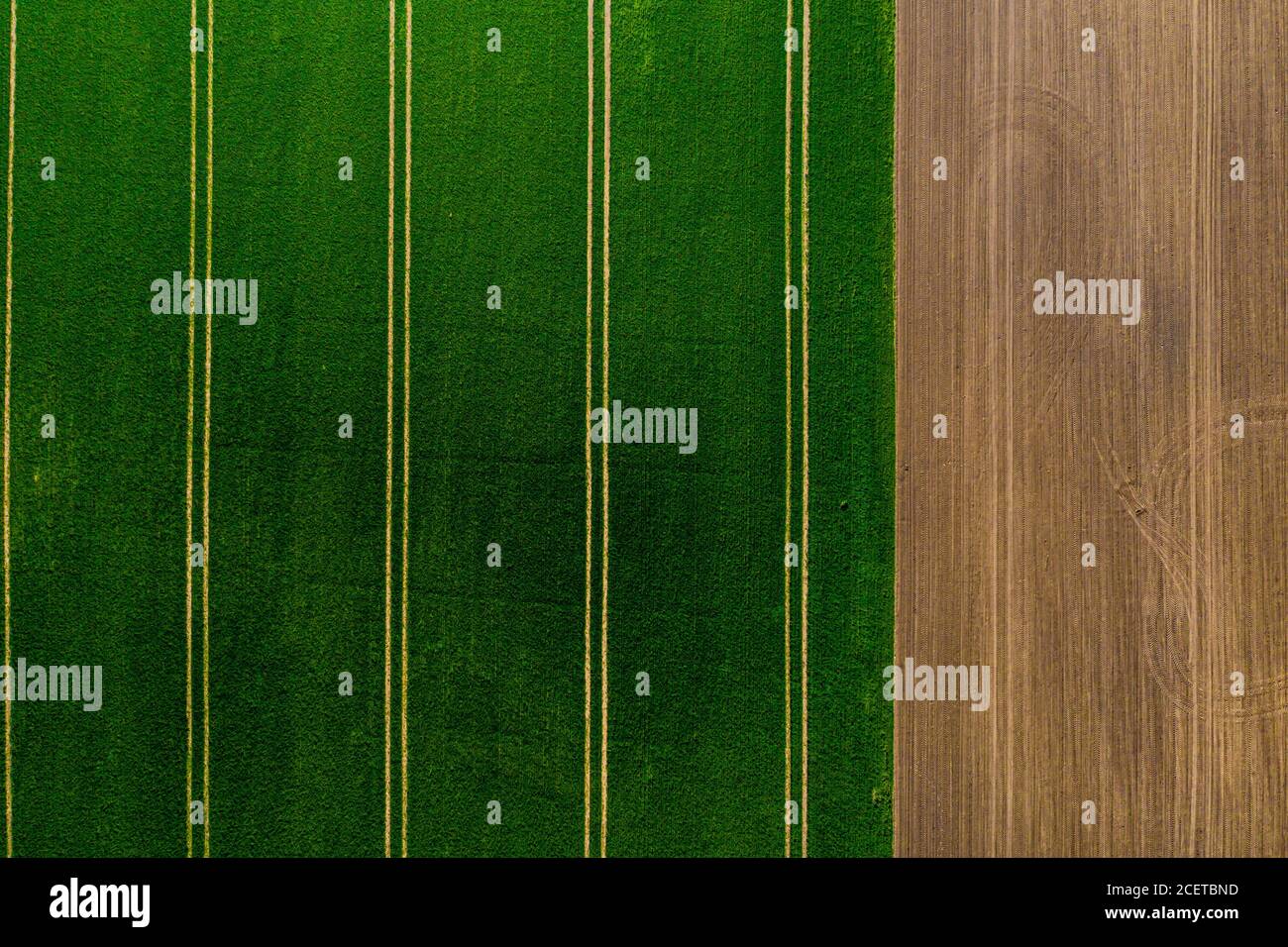 Track field lines top view hi-res stock photography and images - Alamy
