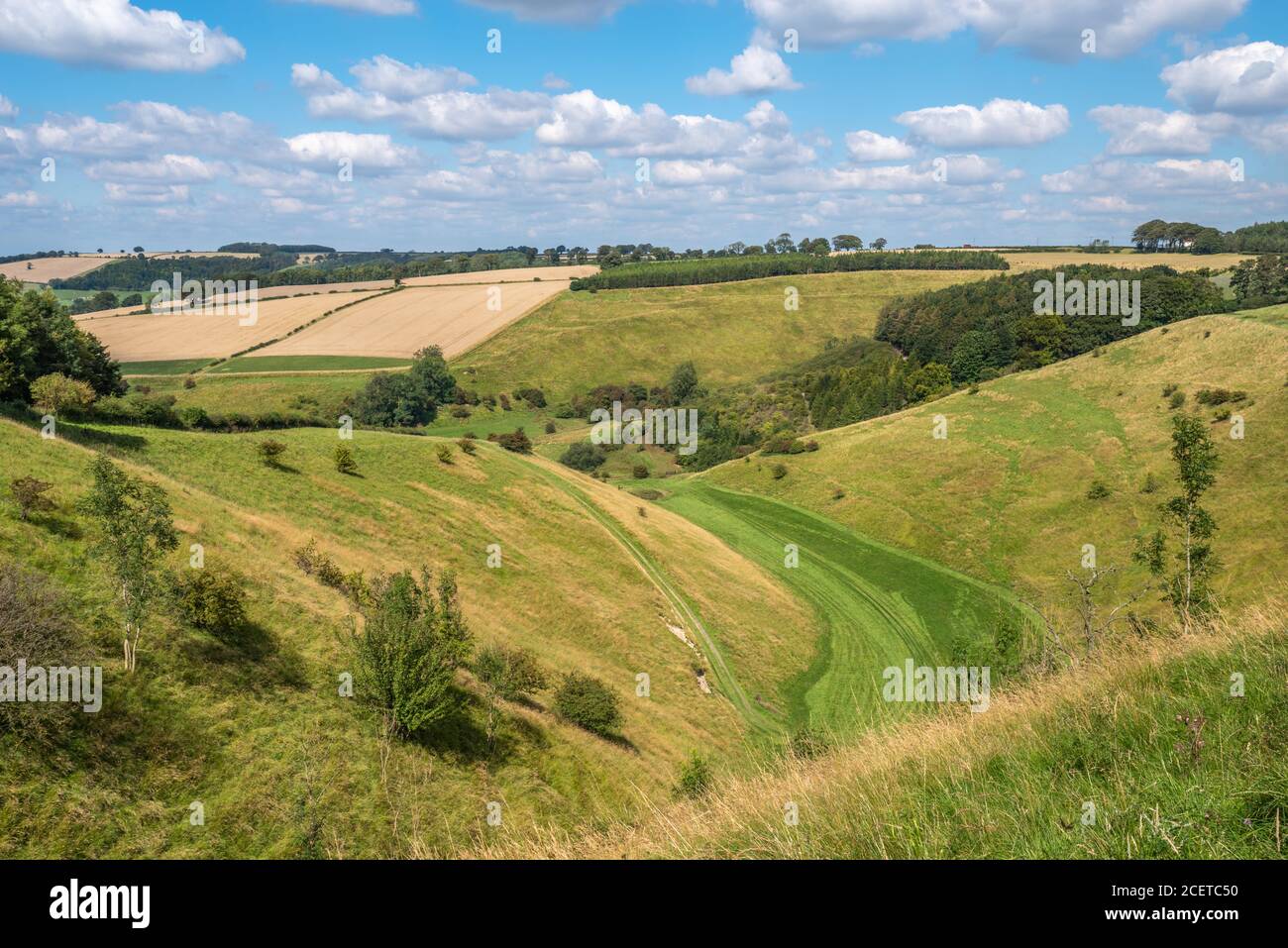 View of a deep green valley with blue sky and white clouds in the ...